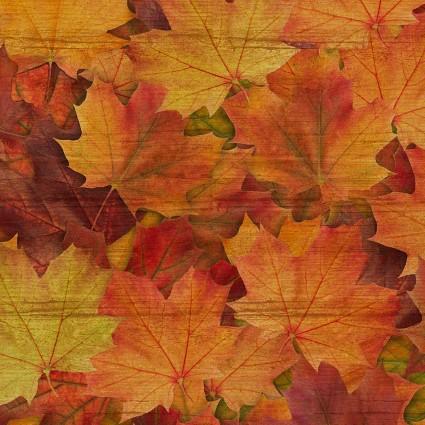 The Land I Love-Leaves — Iva's & Company Studio